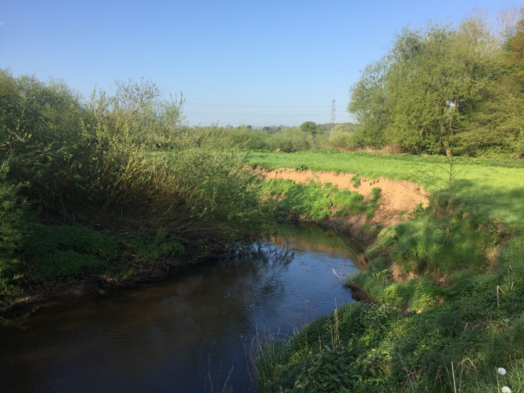 What's On Guide | Bowdon Bollin | FOBB